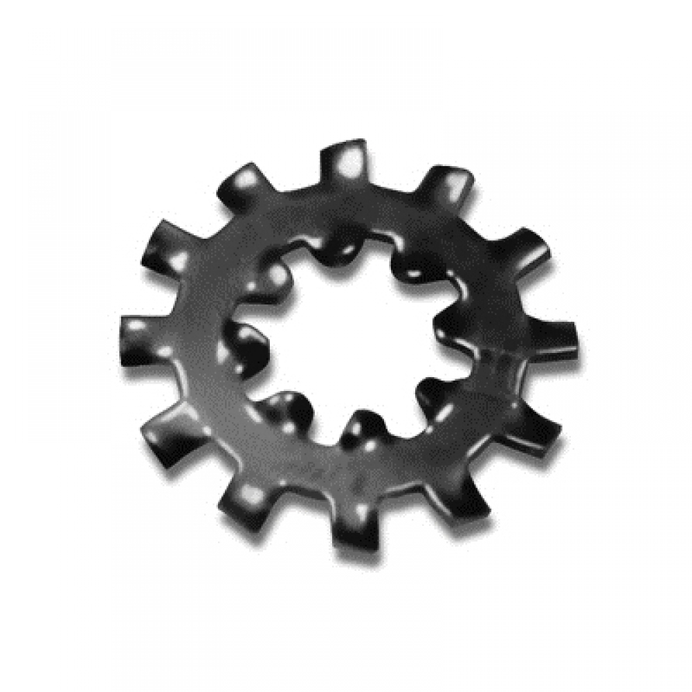 Buy Double Toothed Lock Washer | Husaini Brothers