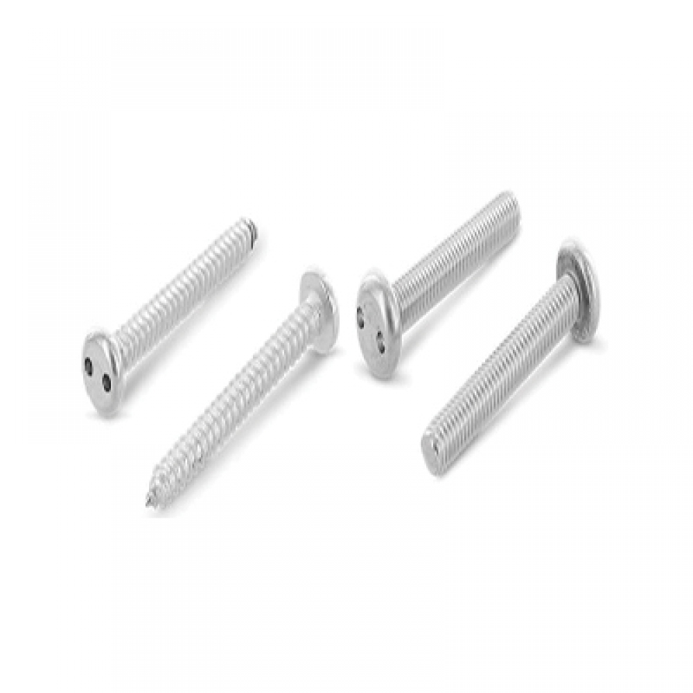 Buy Security Screws | Husaini Brothers